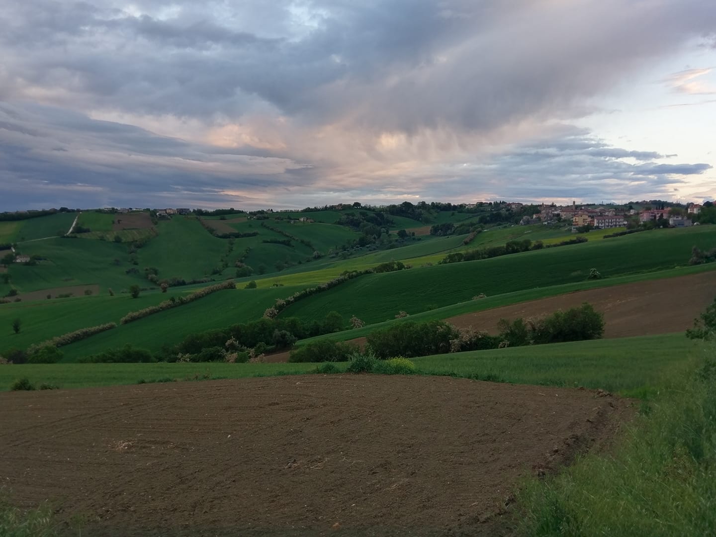 Unione Pro Loco Pesaro e Urbino APS | PIAGGE
